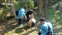 今天给大家带来的是海藻舞教学:像一颗海草,海草,随波飘摇
