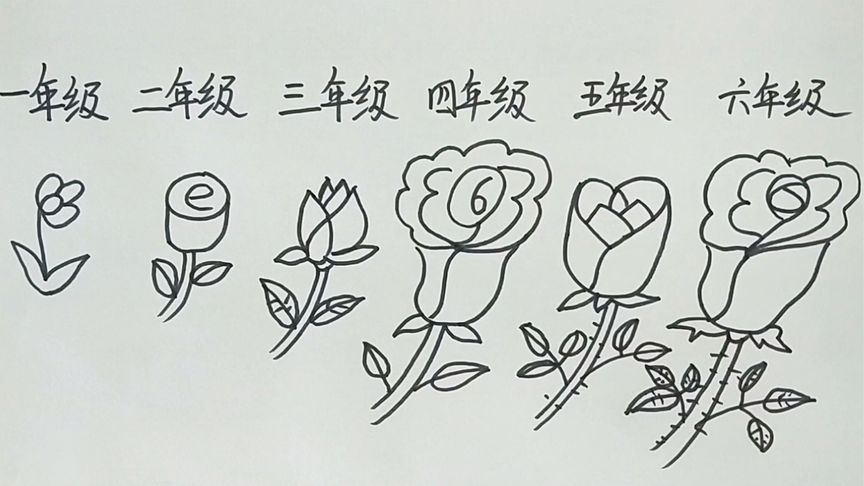 不同年级画的玫瑰花简笔画,你是哪个阶段呢?