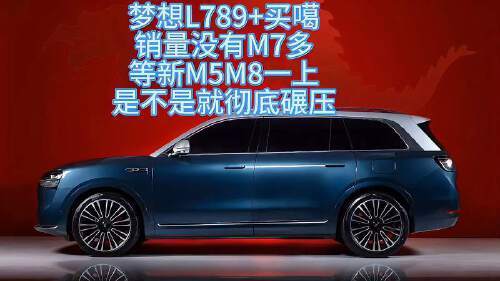 问界销量质量双杀理想!车主实测差距惊人