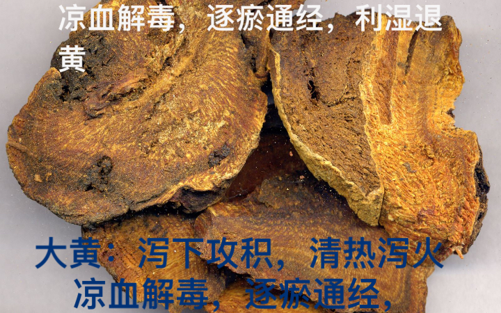 大黄|药材功效