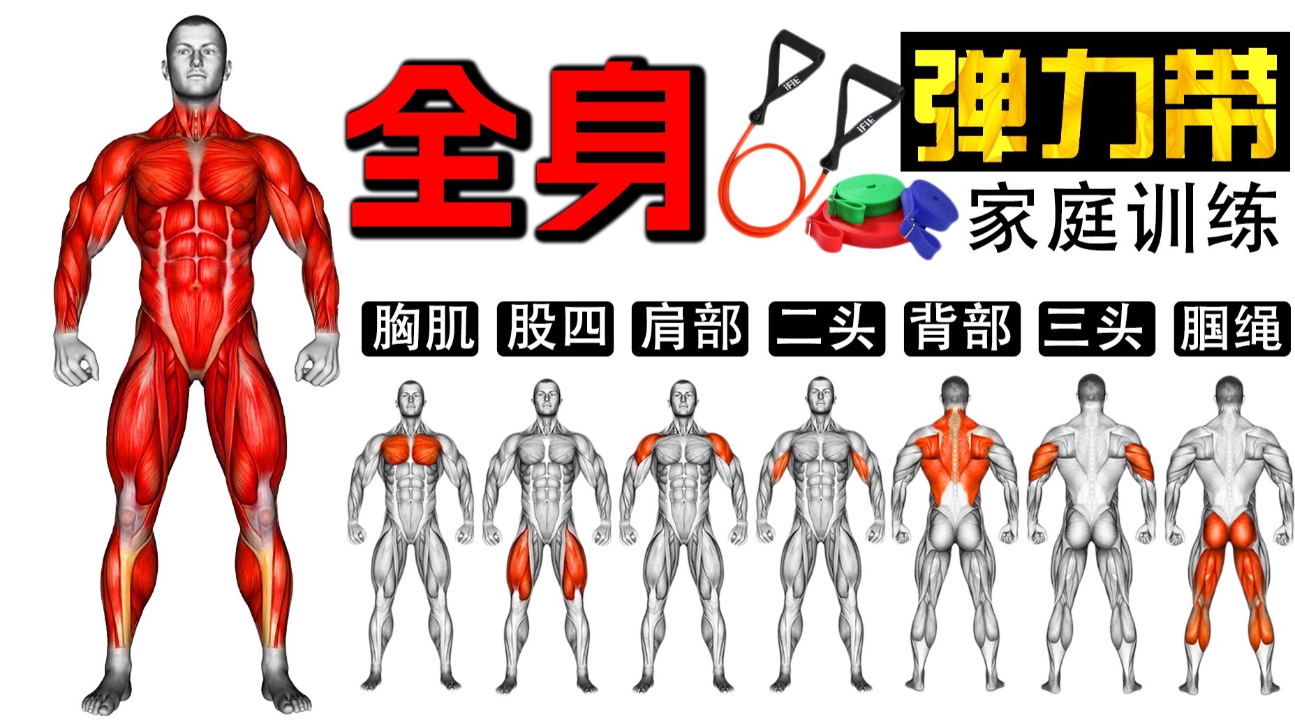 收藏!超全36种弹力带训练方法, 一条弹力带练全身