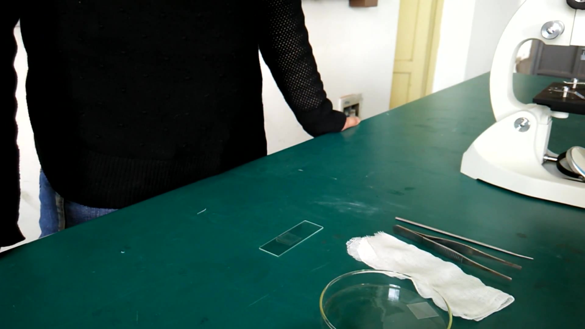 实验四制作并观察番茄果肉细胞临时装片