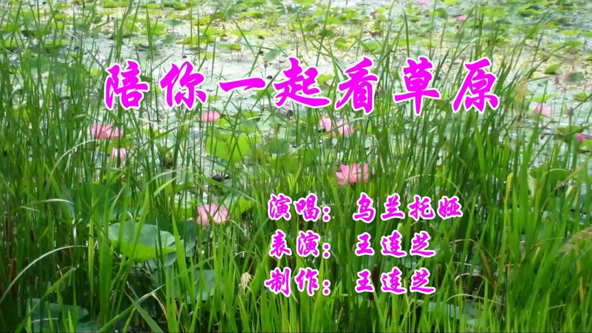 歌曲《陪你一起看草原》因为我们今生有缘
