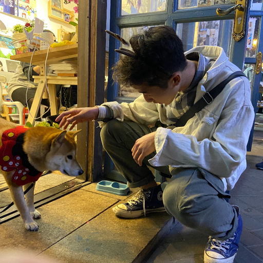 你好我姓陆名兄 