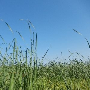 乐此不疲知足常乐 