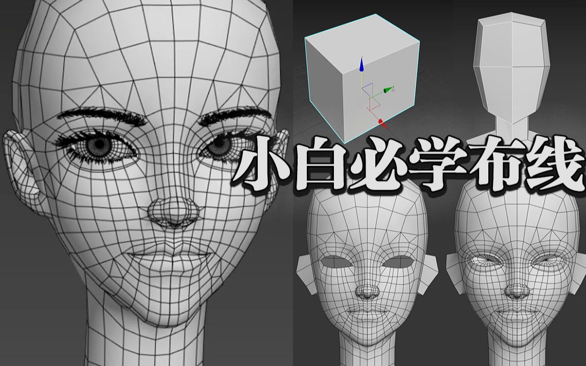 针对新手!最详细基础3DMAX人头布线技巧教学-超简单零基础入门3D...