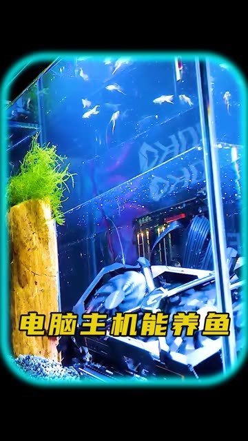 电脑主机也能养鱼?就不害怕进水短路吗? #百科 #科普 #科普知识