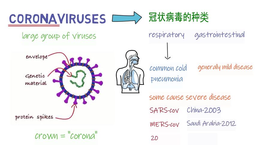 动画科普:新型冠状肺炎最全面最可靠介绍