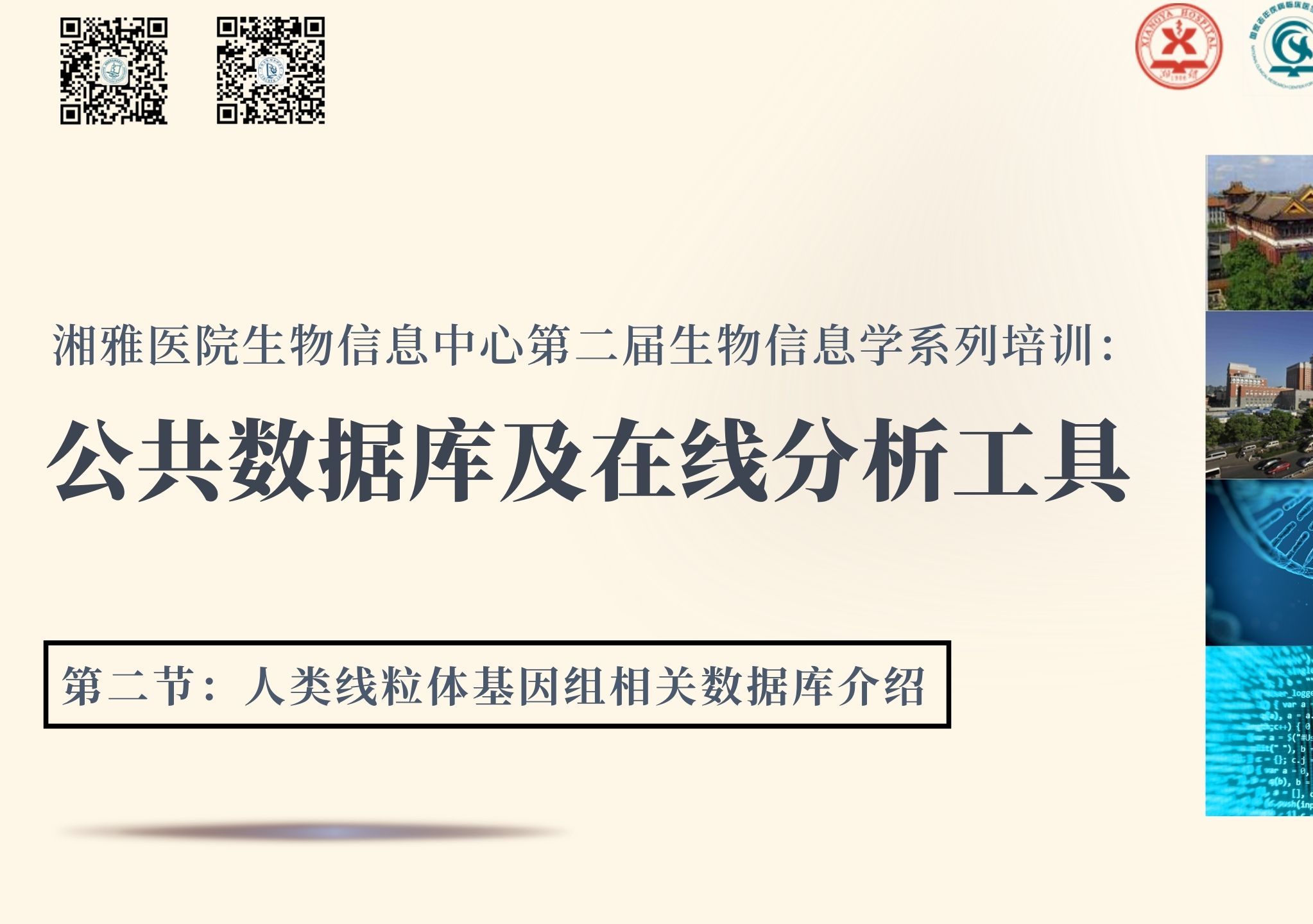生信培训视频|公共数据库及在线分析工具(2)人类线粒体基因组相关...