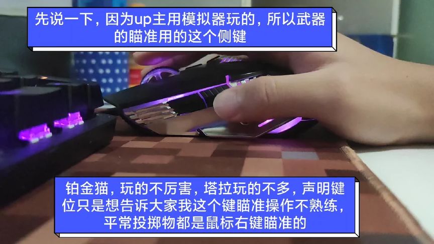 猫和老鼠:模拟器塔拉的日常