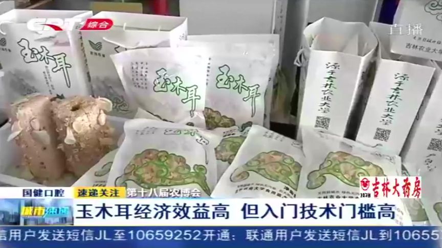 玉木耳你听过吗?它比黑木耳更有营养,一起去长春农博会开开眼