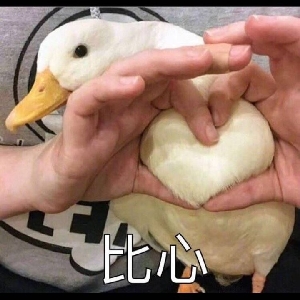 别玩了快去念书 