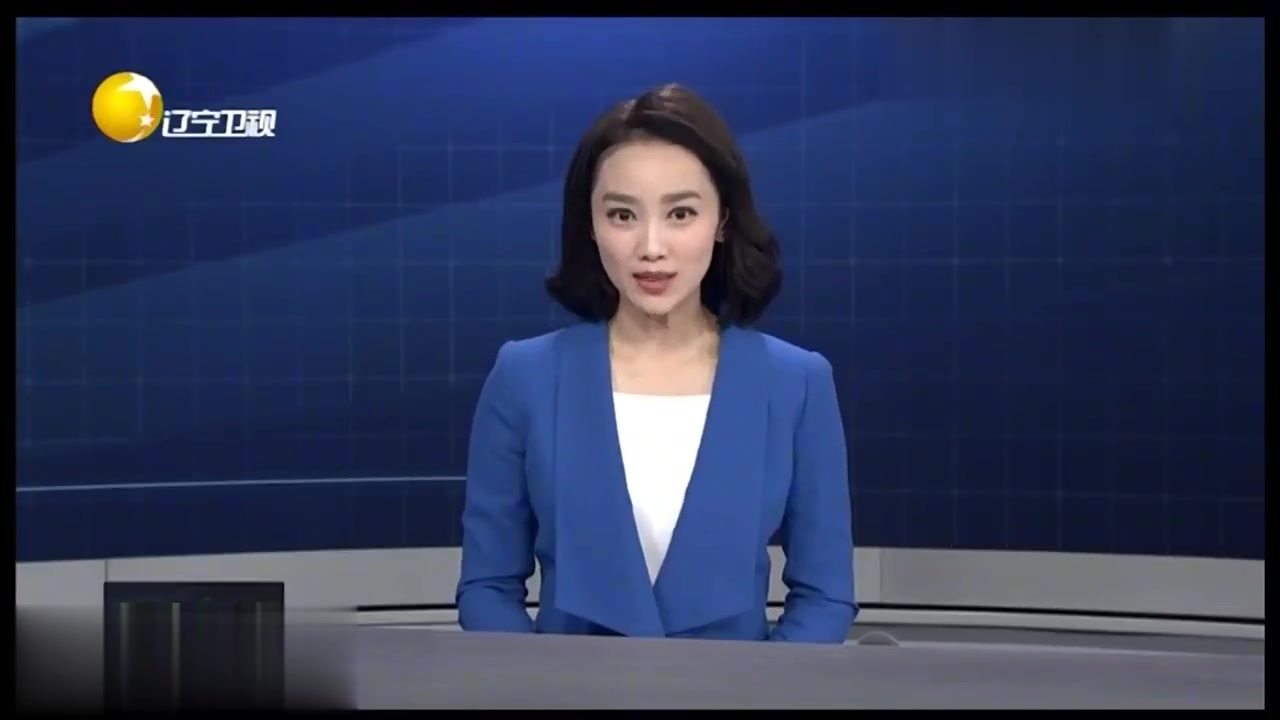 辽宁丹东:"智慧税务"让企业办税更舒心