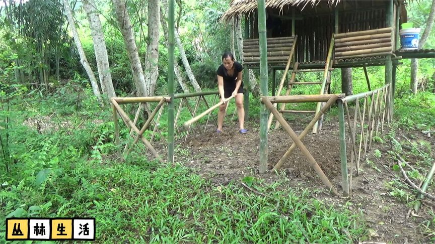 独自丛林生活,种植蔬菜,森林中露营烹饪