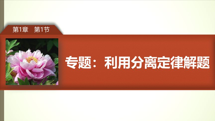 1.1.3专题:利用分离定律解题- 第1课时
