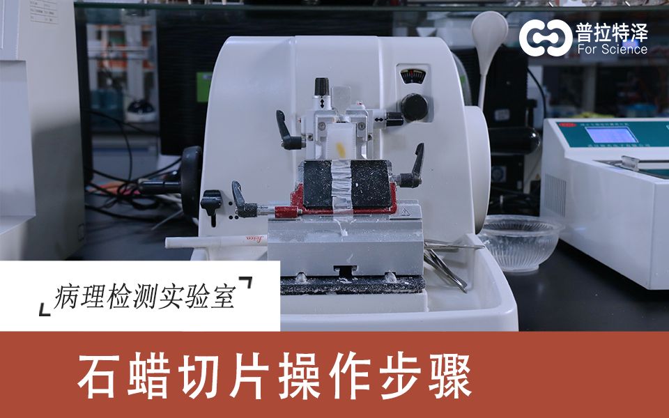 别划走!超详细的石蜡切片制作步骤值得反复学习~