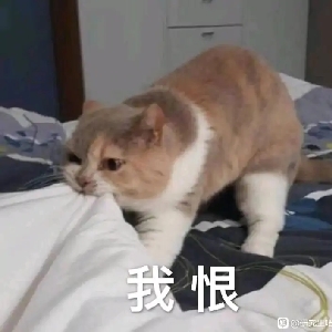 不将就的1345 