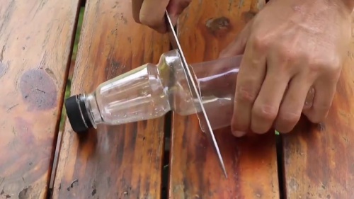 教你一个快速种出蒜苗的好方法,非常简单实用