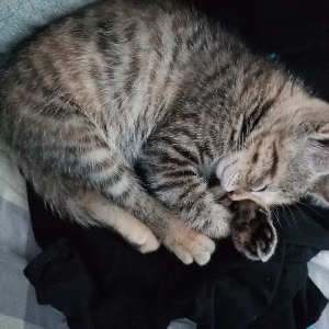 厦门和淋卫浴有限公司 