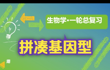 【高中生物一轮复习】5.1-3分离定律的发现 拼凑法 课时精练高中新...