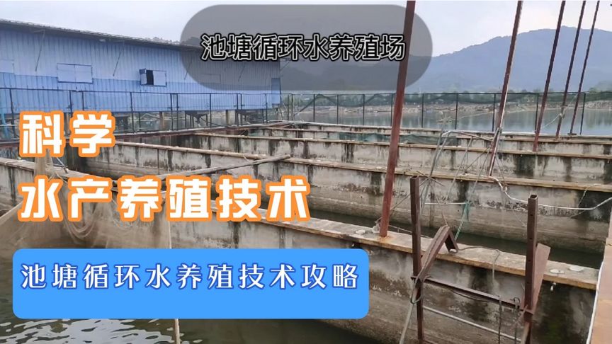 池塘循环水养殖技术,充分利用科学,提高效益