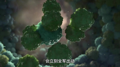 打完疫苗后身体会有哪些变化?免疫细胞是怎么抵抗病毒入侵的?