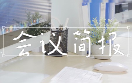 会议简报