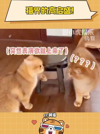 ...不说,这猫在这方面还是挺有天赋的呢~ #猫咪#模仿秀#动物的迷惑行为