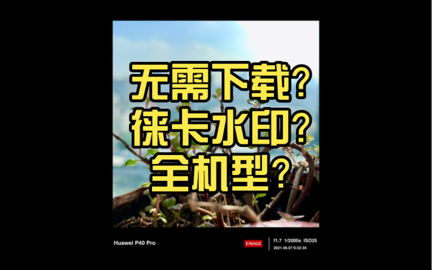 【全机型徕卡水印】全机型可用,无需下载,亲测可用,埃文工具箱4.5.3更新