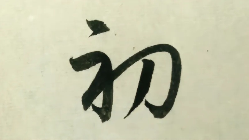 赵富忠书法:知忽载初丽处雍较增容奚戴等字,草书写法!