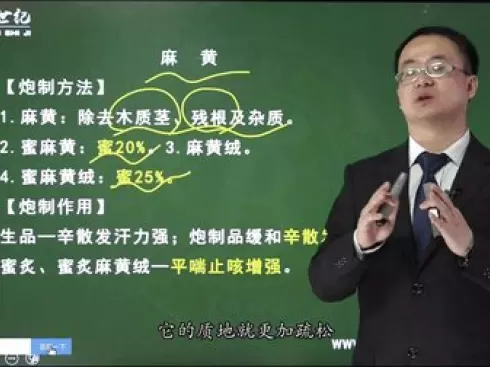 2016执业药师中药学专业知识一 第17讲 中药炮制与饮片质量-常用饮片...