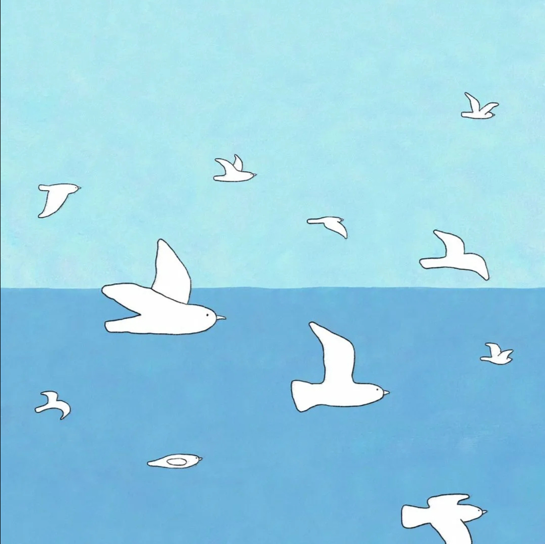 每天一遍欢乐喜剧人儿 