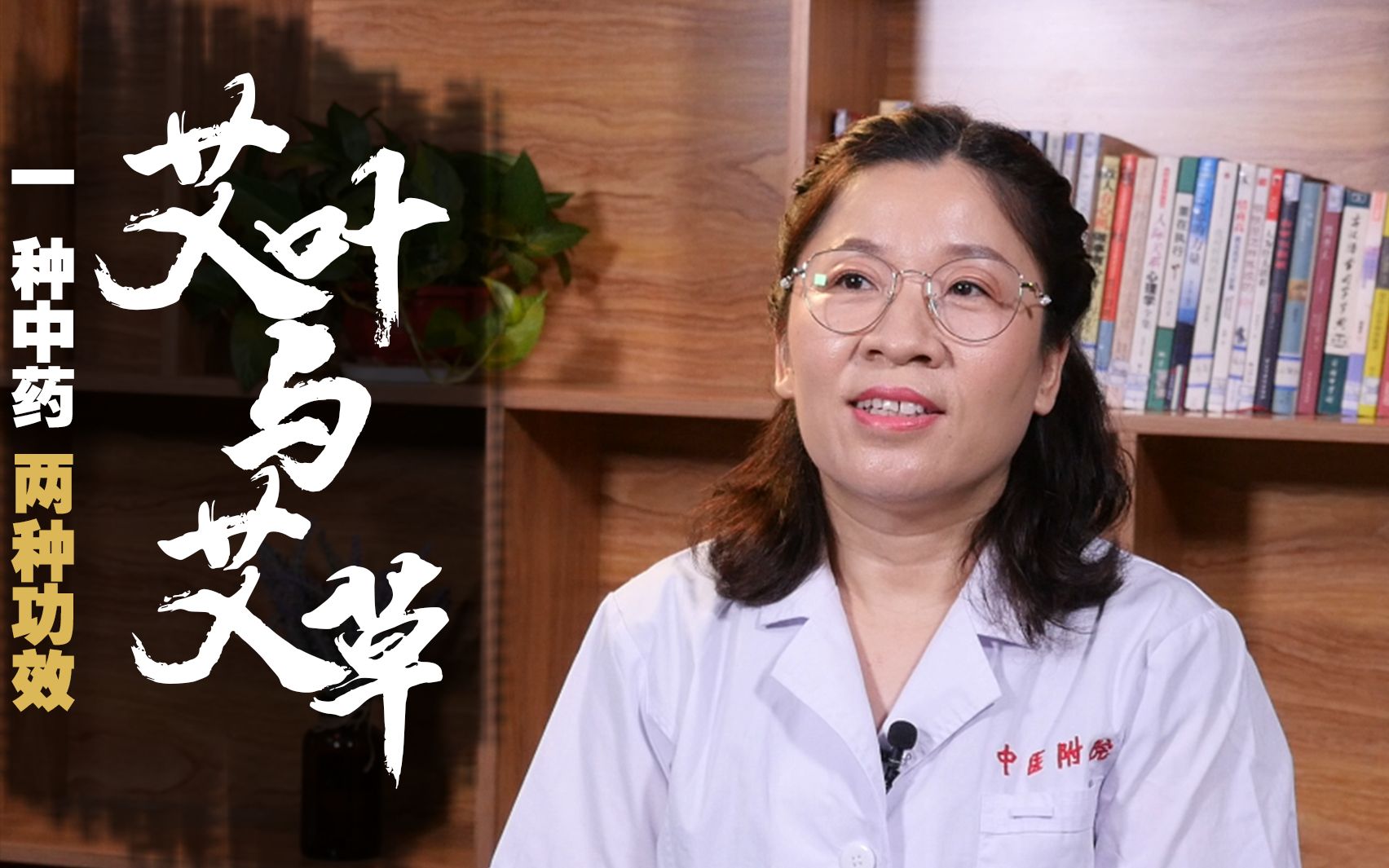 不要把艾草和艾叶搞混了!一种中药两种功效,用对才能杀菌、祛湿