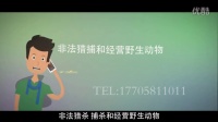 野生动物保护法MG动画