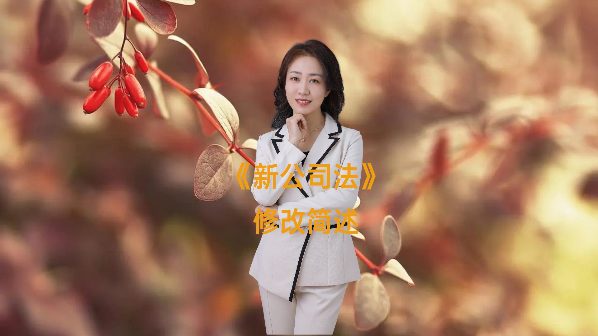 晓黎01:公司决议的概述