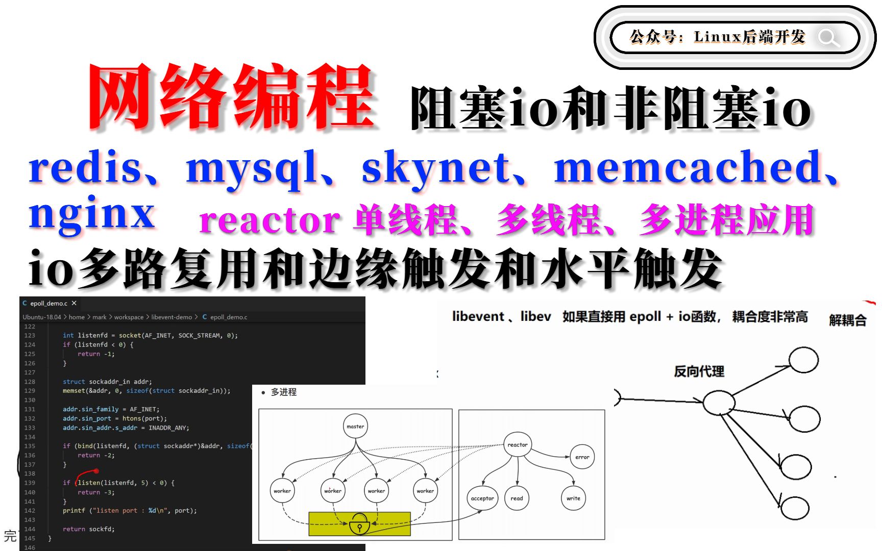 ...多路复用和边缘触发和水平触发 / reactor 单线程、多线程、多进程应用