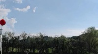 一款创造性的优秀的自动钓鱼器,介绍供分享。