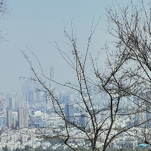 学呀raikitty 