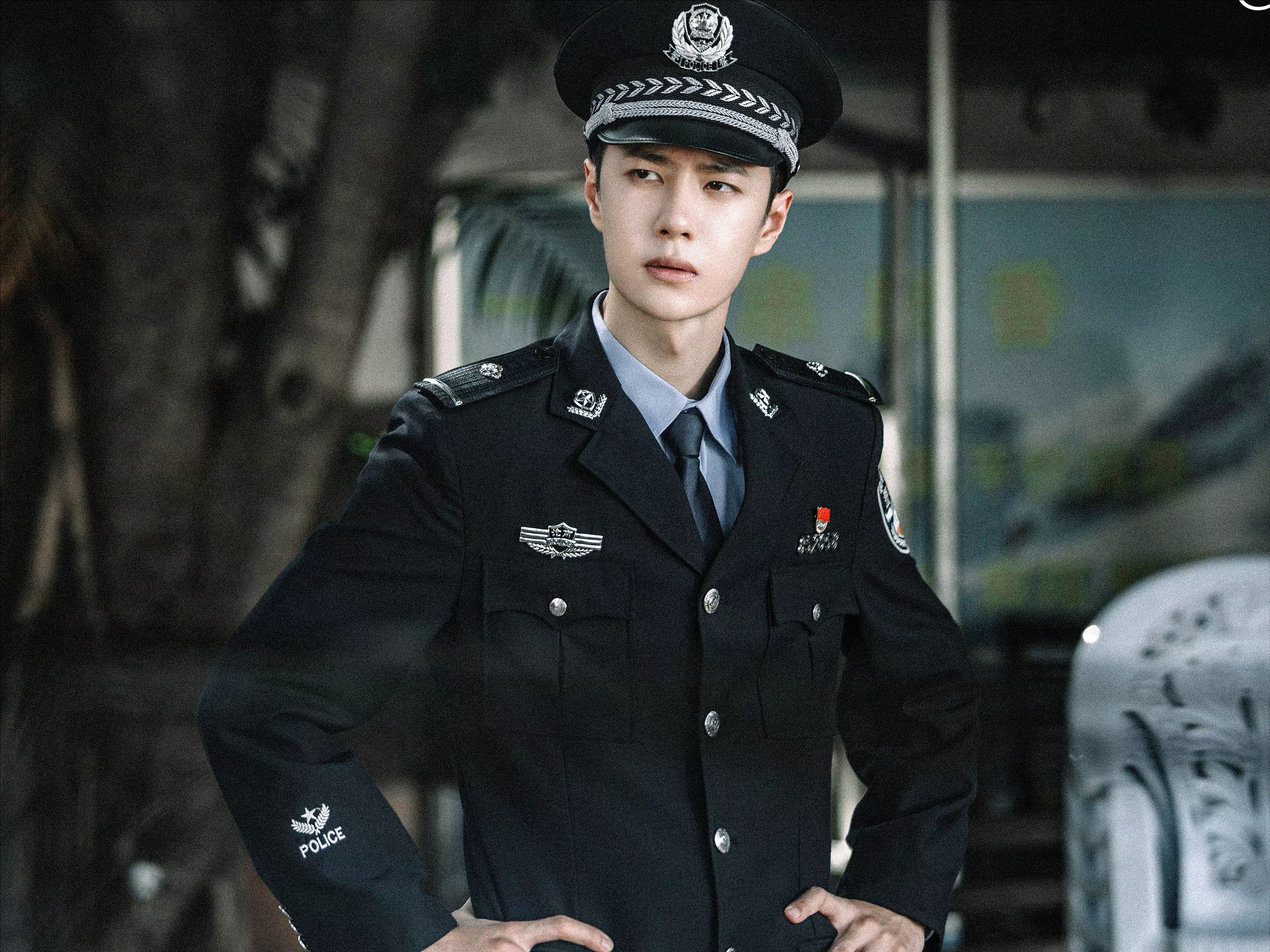 十一部缉毒题材电视剧