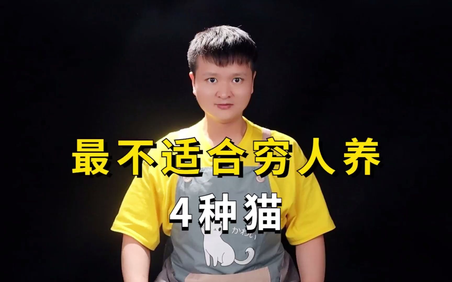 如果你经济不宽裕,又想养猫,那千万别养这4种猫