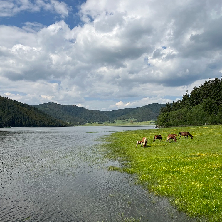 我们依然在仰望星空 
