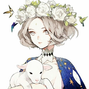 安柃越越 