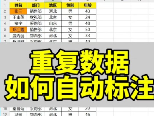 Excel自动标注重复数据
