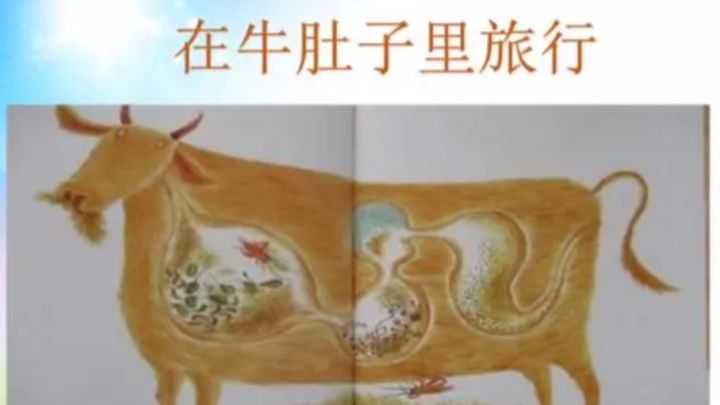 《在牛肚子里的旅行》