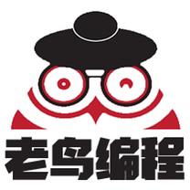 老鸟编程 
