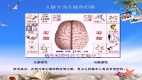 计算机_网络_心理学--起源_标清