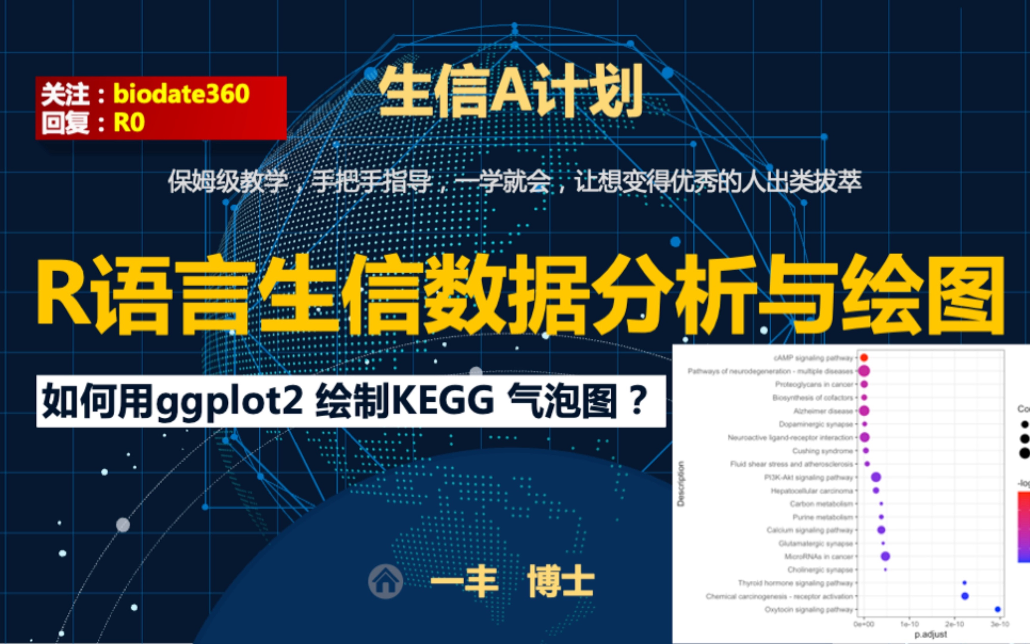 63.如何用ggplot2 绘制KEGG 气泡图?
