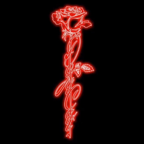 我最爱寻宝本宝 