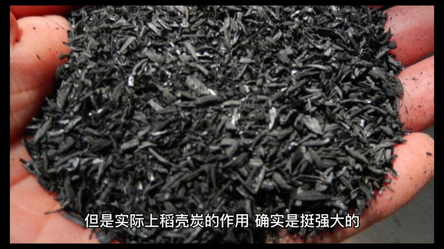 稻壳炭的作用#稻壳炭 #稻壳灰 #稻壳颗粒