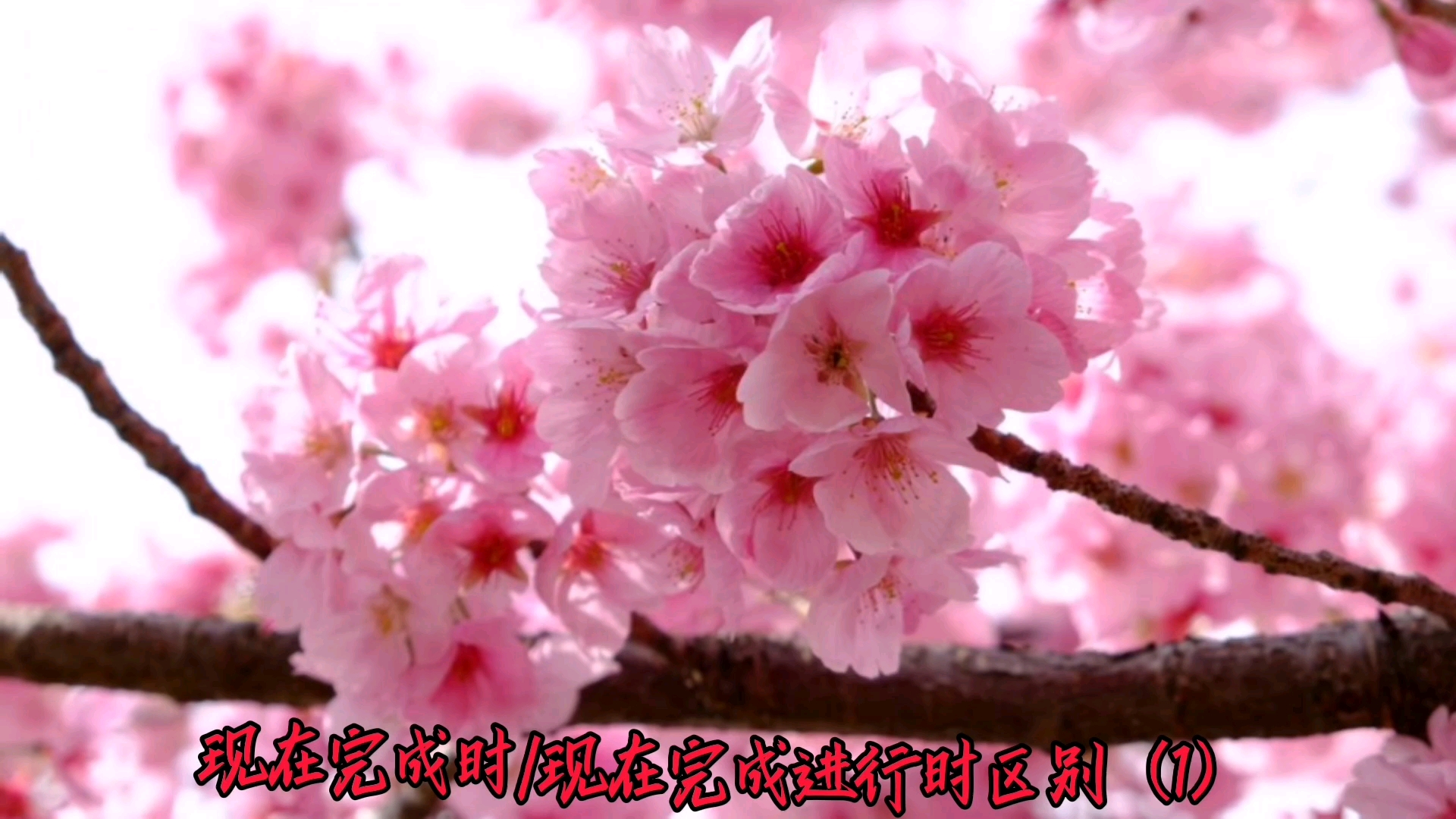 现在完成时/现在完成进行时区别(1)